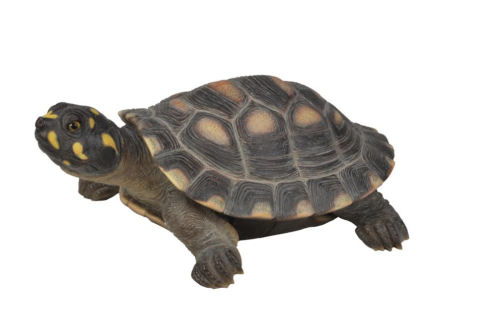 Spotted Turtle Statue – Muskoka Fire Pits